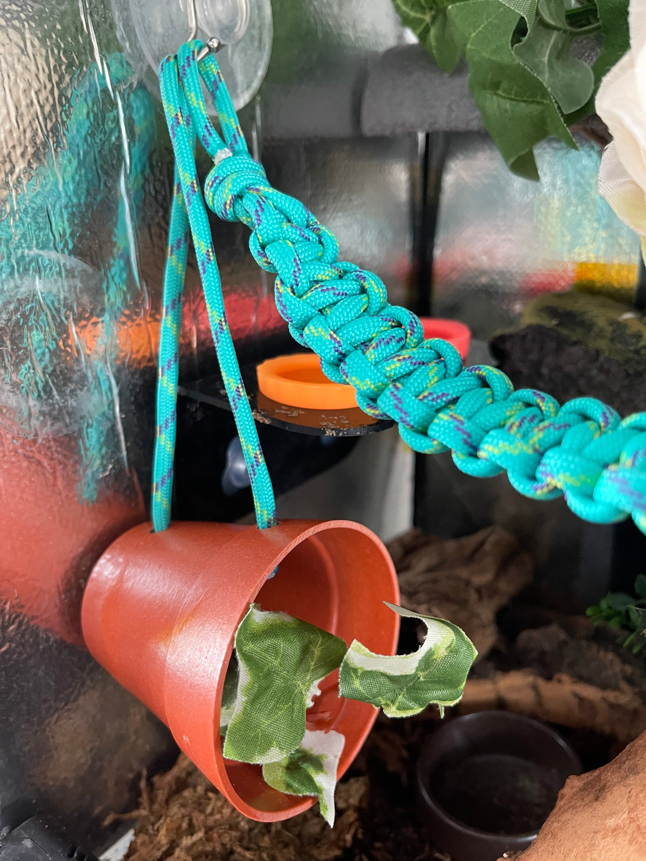 Original paracord reptile vine / climbing rope / bridge with | Etsy