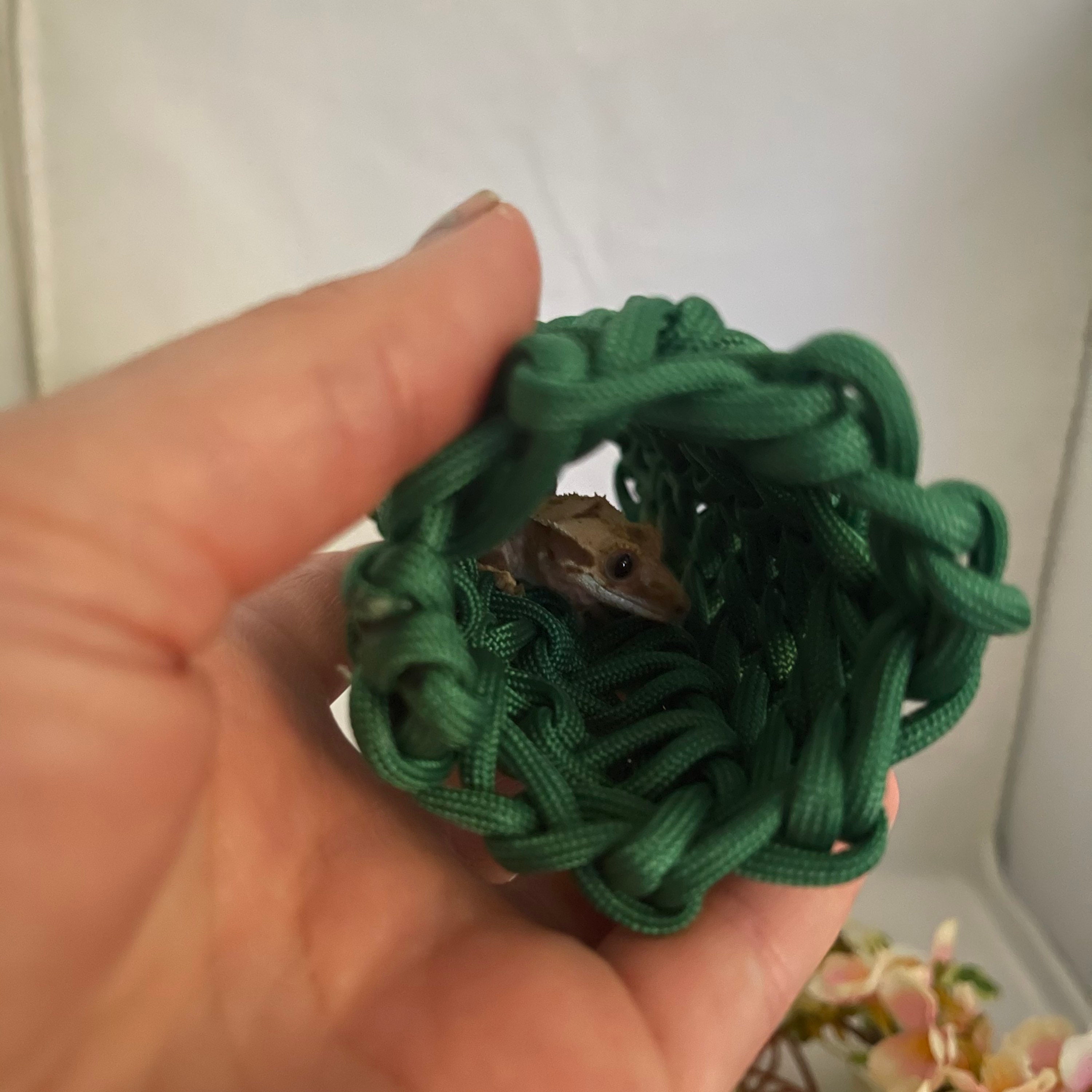 Paracord reptile log tunnel / climbing rope bridge with | Etsy