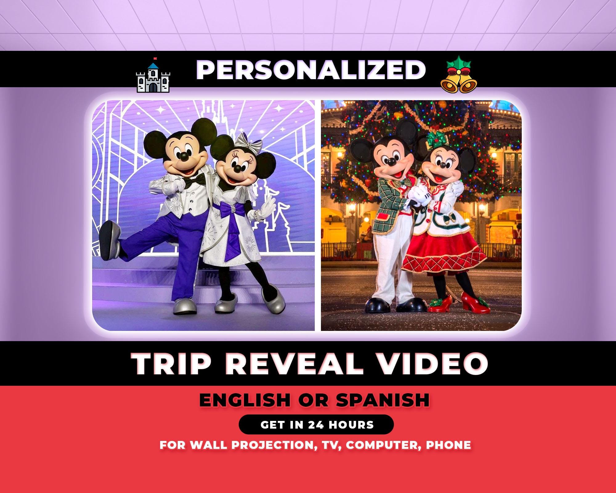 Personalized Surprise Trip Reveal Video, Custom Message From Mickey and ...