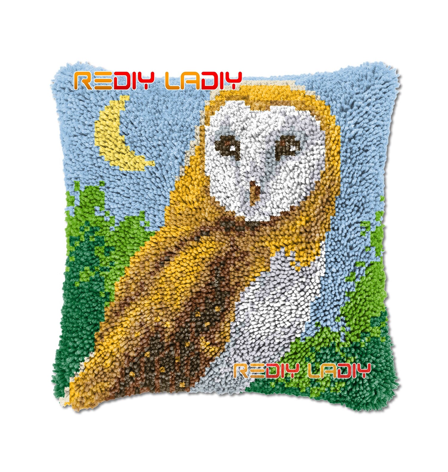 Latch Hook Cushion Moon Owl DIY Needlepoint Kits Chunky | Etsy