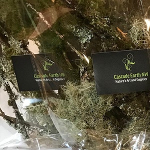Dried Natural Tree Lichens Moss, Every Bag is Unique, 9x12” Bags ...