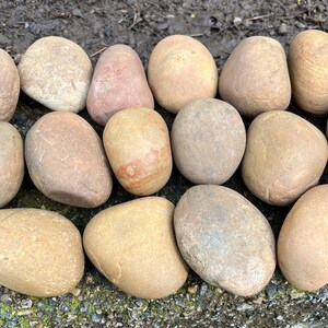 Bags of 16, Natural Smooth River Rocks for Painting, Aquariums ...