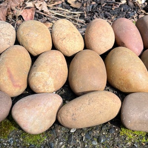 Bags of 16, Natural Smooth River Rocks for Painting, Aquariums ...