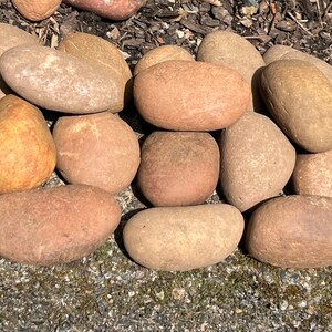 Bags of 16, Natural Smooth River Rocks for Painting, Aquariums ...