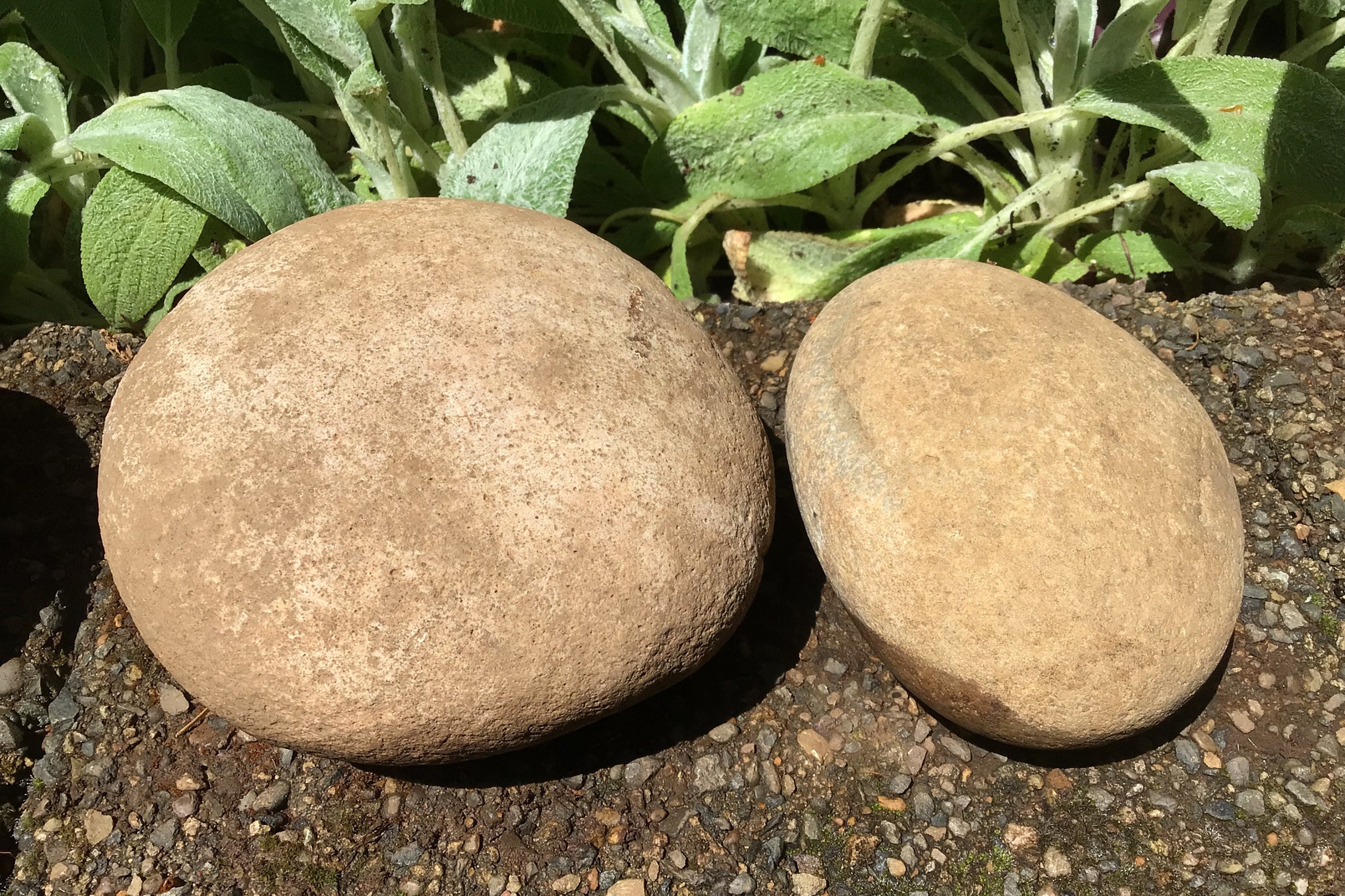 Bags of 2 Natural Smooth River Rocks for Painting Aquariums - Etsy