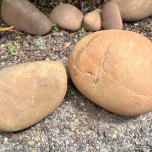 Bags of 2, Natural Smooth River Rocks for Painting, Aquariums ...