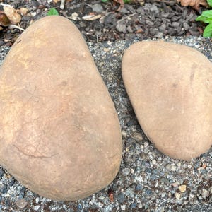 Bags of 2, Natural Smooth River Rocks for Painting, Aquariums ...