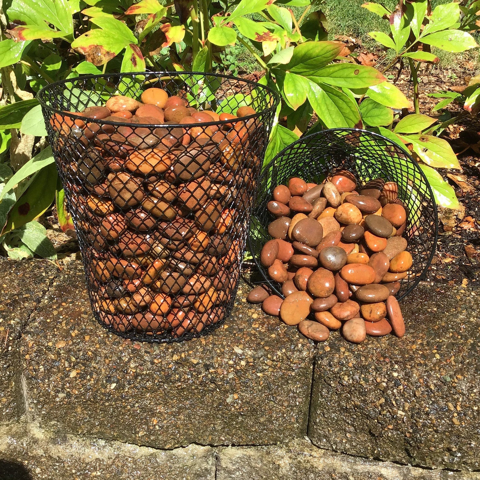 Natural Smooth River Rocks for Painting Aquariums Terrariums - Etsy