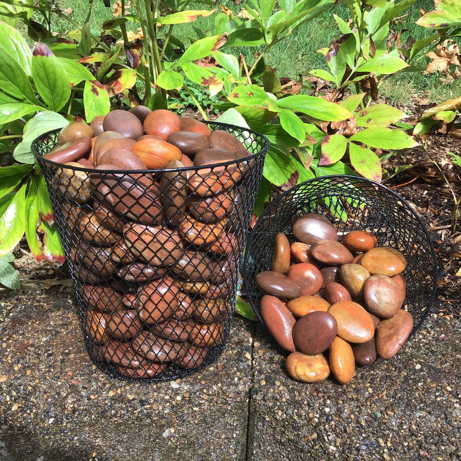 Natural Smooth River Rocks for Painting Aquariums Terrariums - Etsy