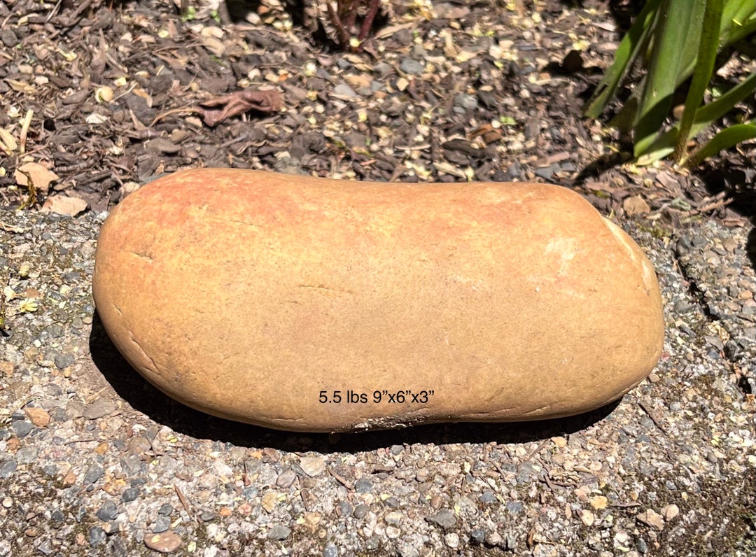One Big Rock - Each Weighs 5-10lbs Natural Smooth River Rocks for ...