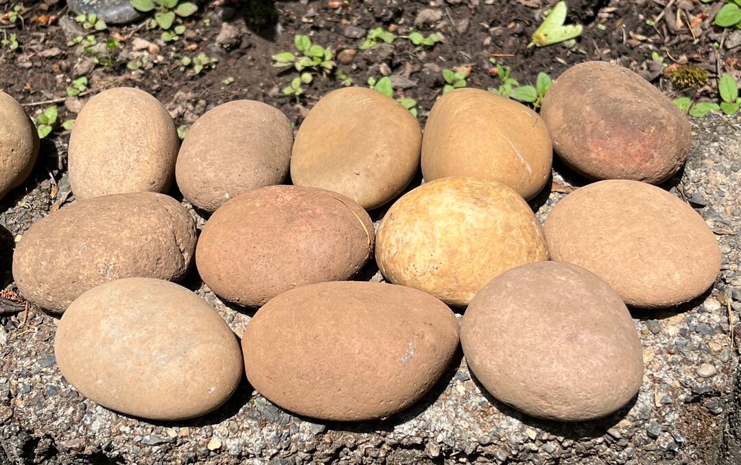 Bags of 12, Natural Smooth River Rocks for Painting, Aquariums ...