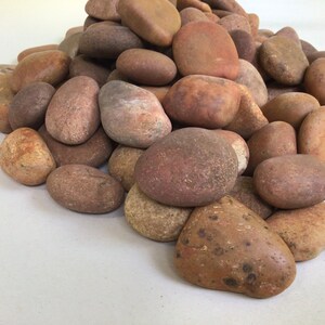 Natural Smooth River Rocks for Painting, Aquariums, Terrariums + 5 to ...