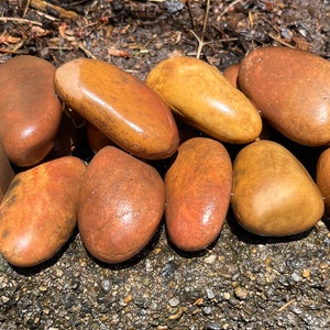 Bags of 16, Natural Smooth River Rocks for Painting, Aquariums ...