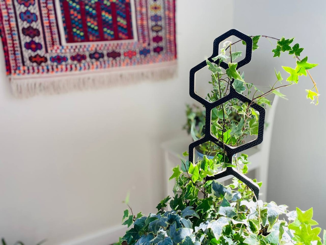 Hexagonal Trellis to Support Indoor House Plants - Etsy