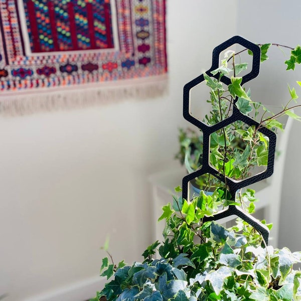 Hexagon Trellis - Etsy