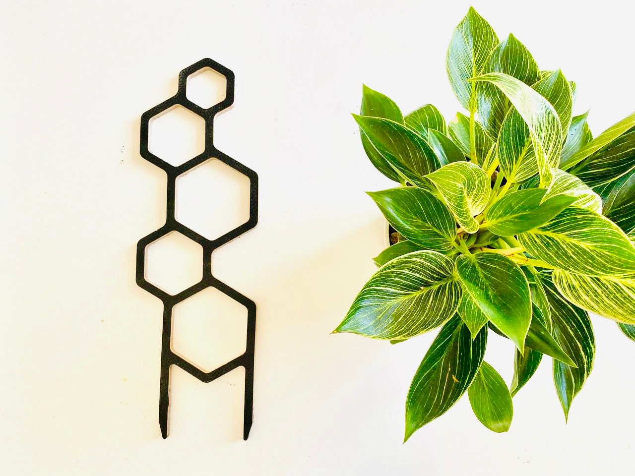 Hexagonal Trellis to Support Indoor House Plants - Etsy