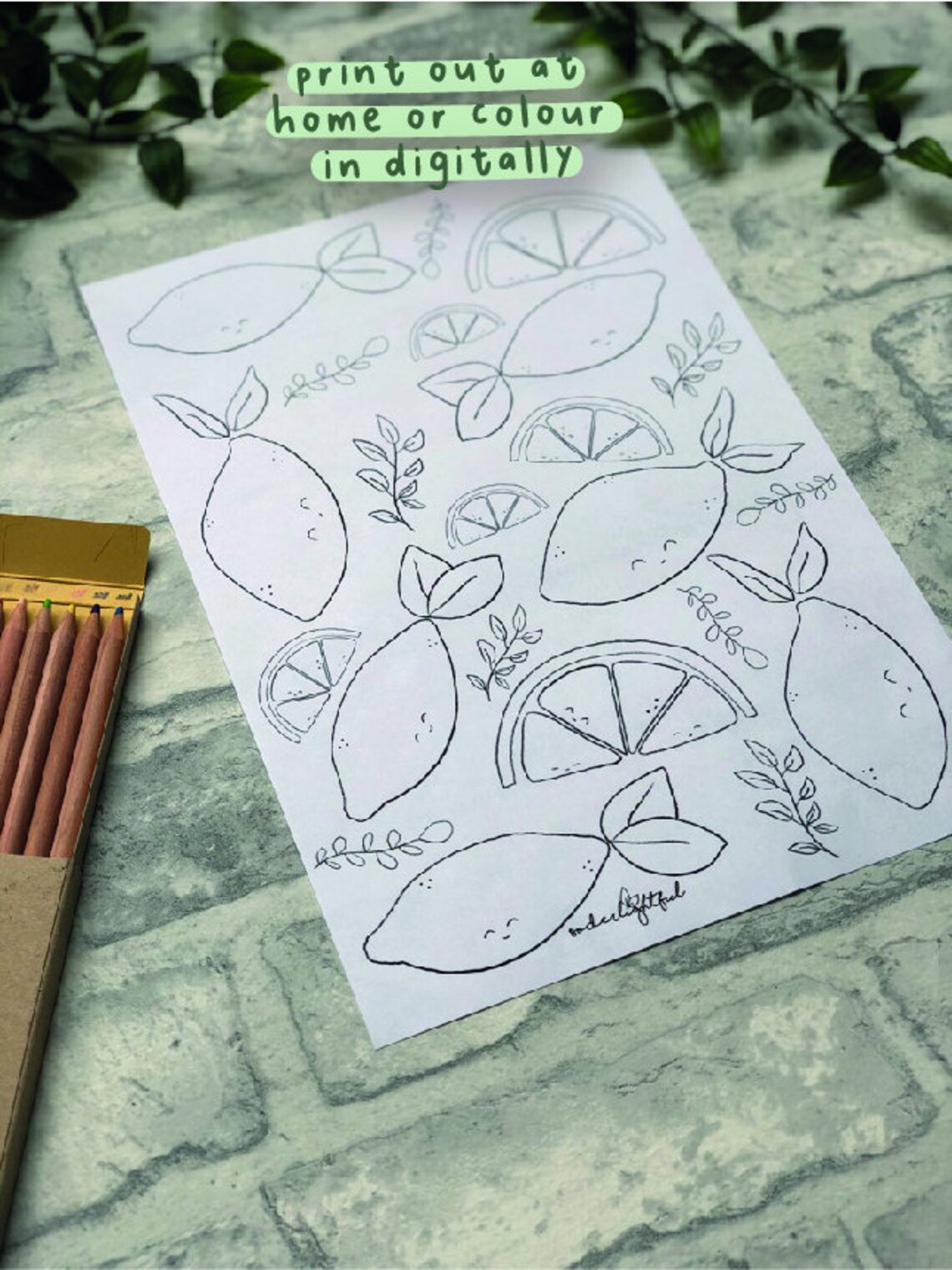 Cute Lemons Illustration Colouring Page Digital Download - Colouring ...