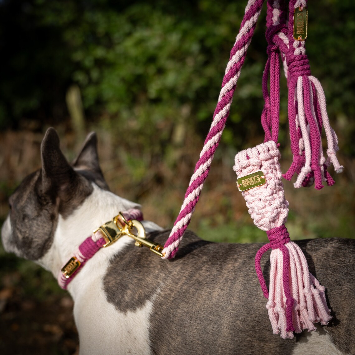 Make Your Own Dog Lead Kit Pink, Rope Dog Lead, Dog Lover Gift, DIY ...