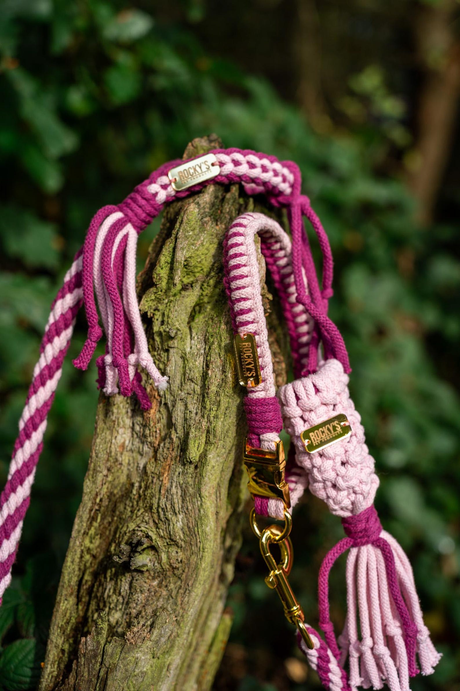 Make Your Own Dog Lead Kit Pink, Rope Dog Lead, Dog Lover Gift, DIY ...