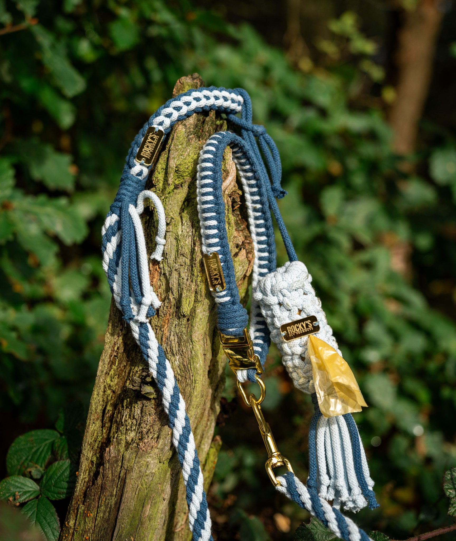 Make Your Own Dog Lead Crafting Kit - Dog Lead in Blue, Rope Dog Lead ...