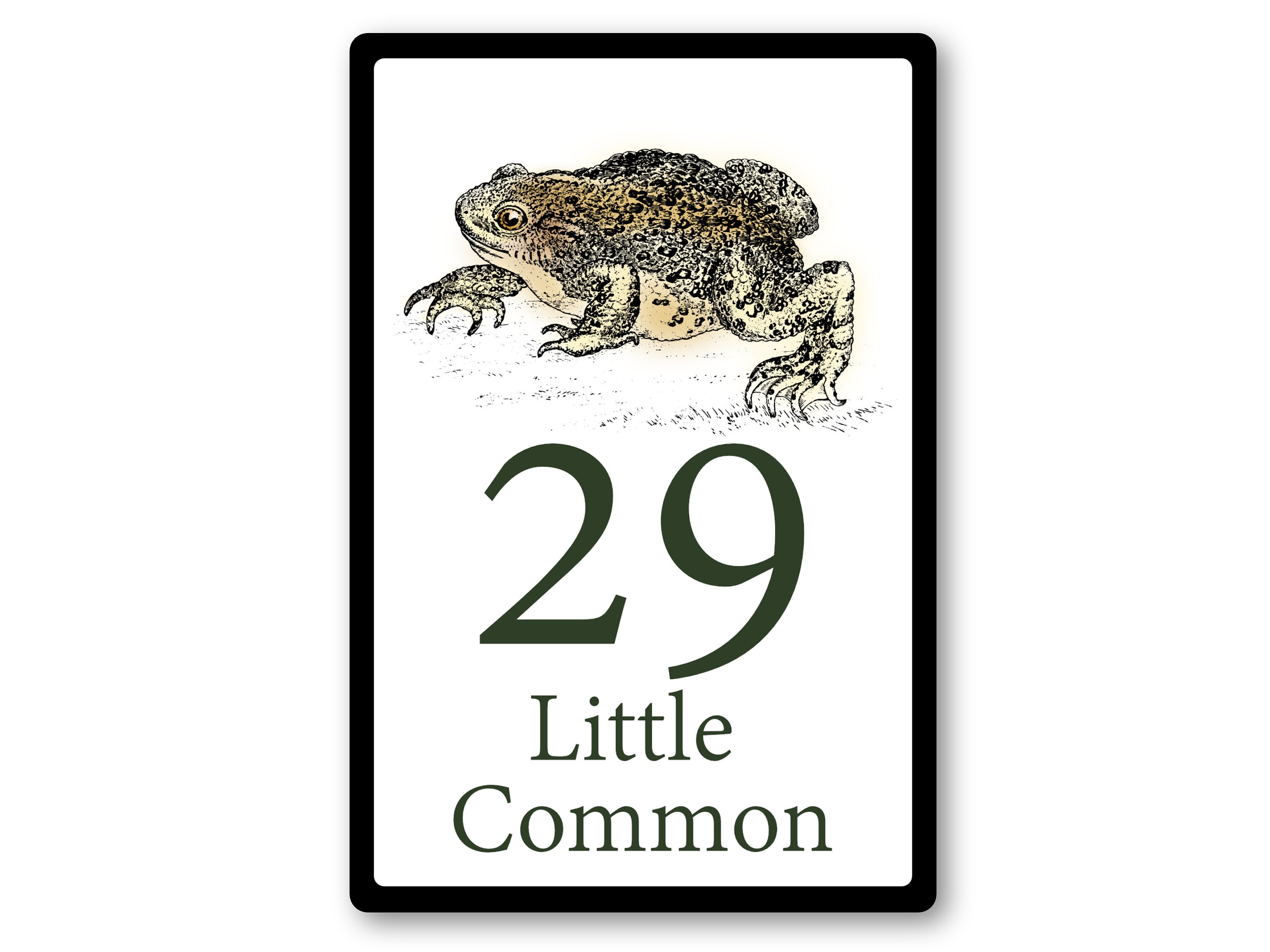 Frog or Toad House Sign Number Name Address Cottage Sign - Etsy