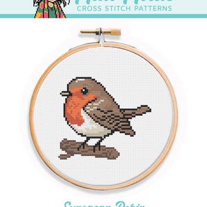 European Robin Cross Stitch Pattern - Small and Easy Beginners PDF ...