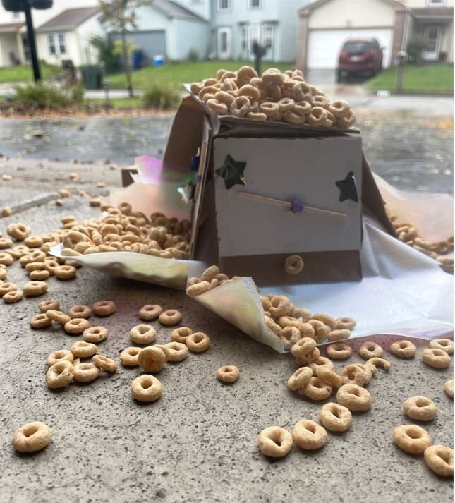 Friendly- Surprise Box! Glitter Bomb - Etsy