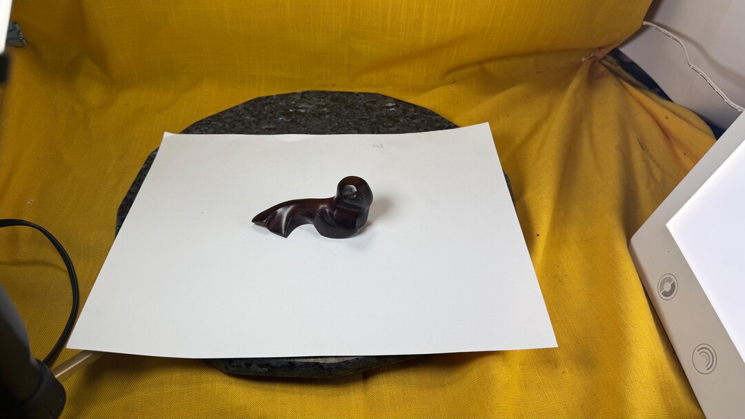 Ironwood Seal or Maybe Sealion Sculpture or Carving Maybe an Otter Let ...