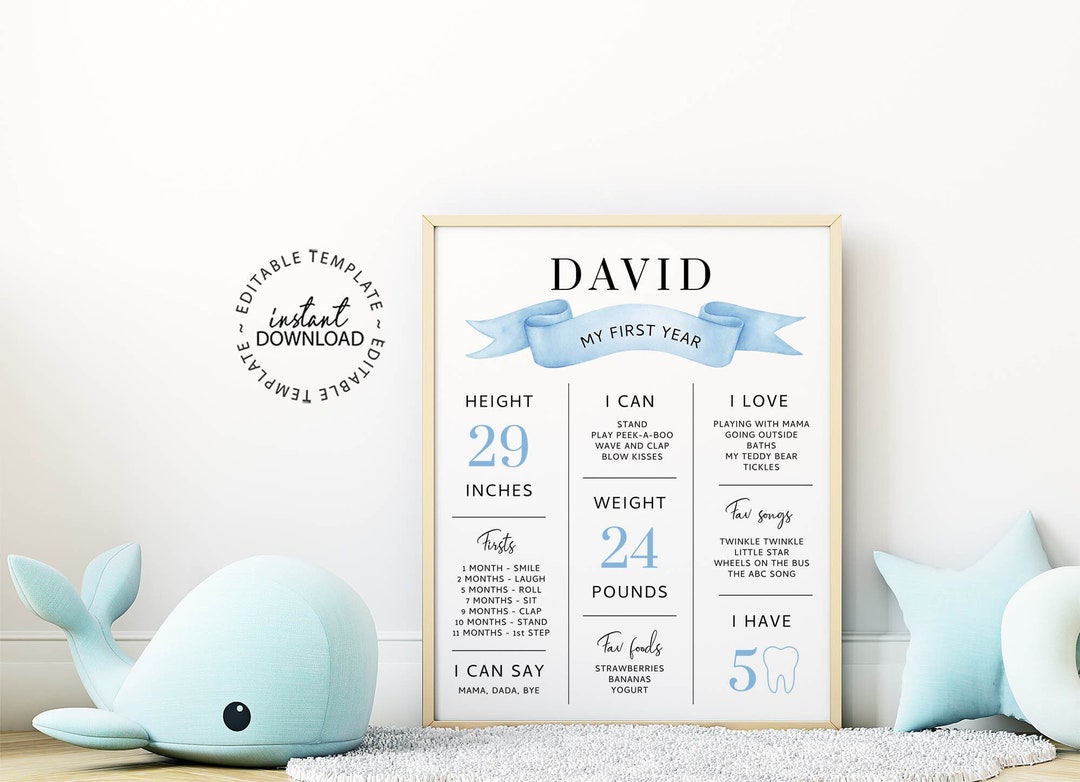 Editable Baby Boy Milestone Template, 1st Birthday Milestone Poster ...