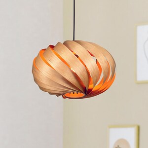 Pendant Lamp For The Living Room Or Ceiling Light For The Dining Table