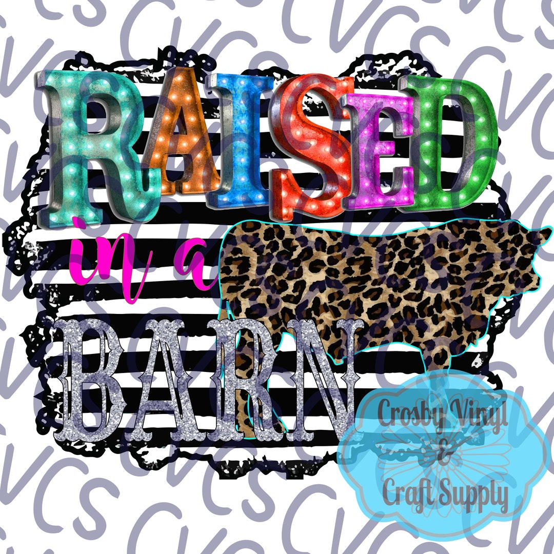 Raised in a Barn PNG - Steer, 4H, FFA, Show Animals, Farm, Rodeo ...