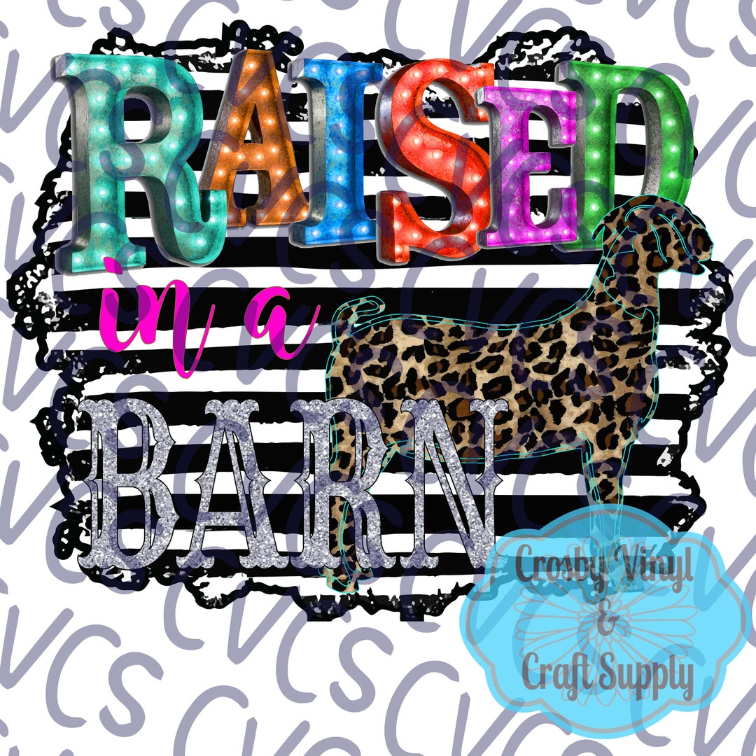 Raised in a Barn PNG - Goat, 4H, FFA, Show Animals, Farm, Rodeo ...