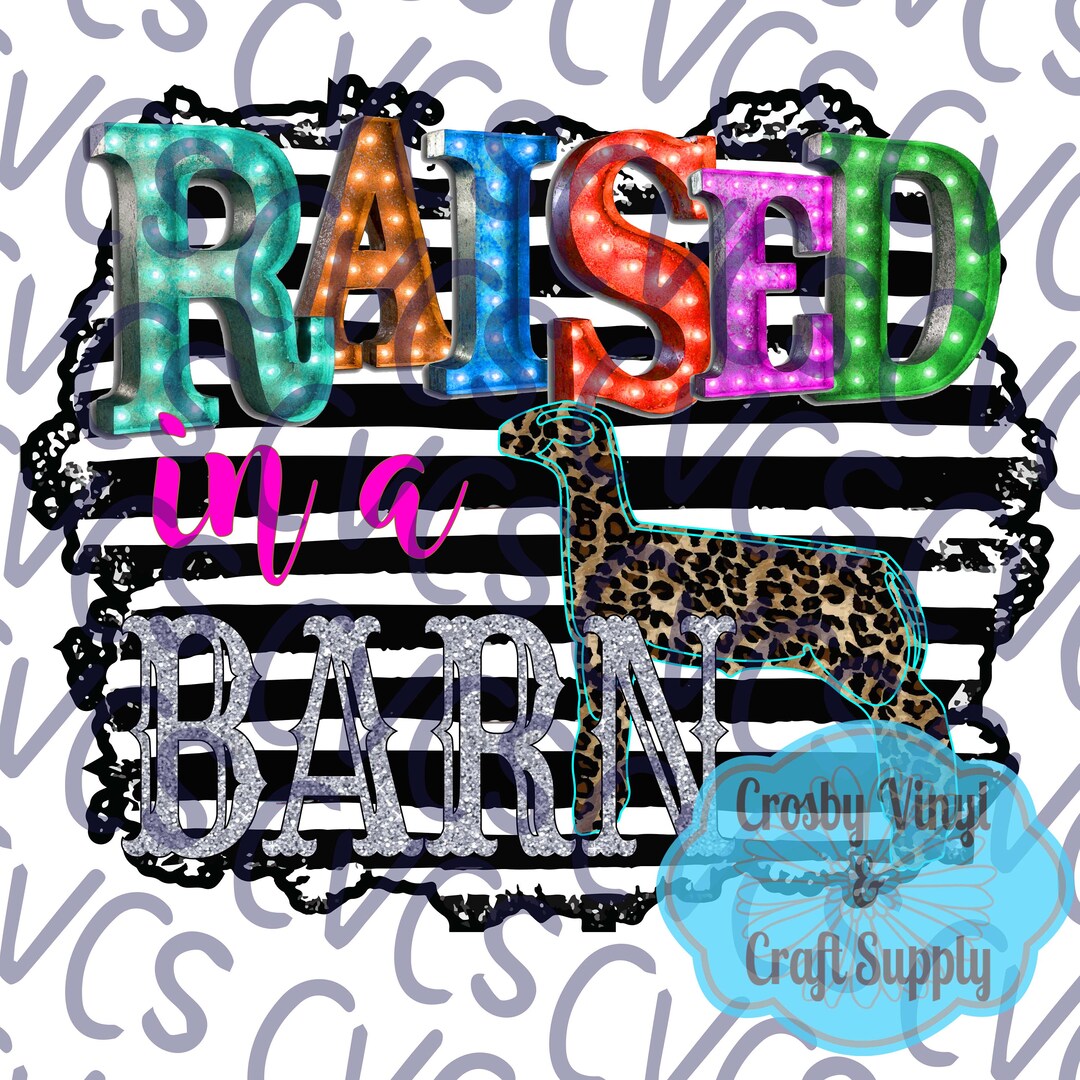 Raised in a Barn PNG - Lamb, 4H, FFA, Show Animals, Farm, Rodeo ...