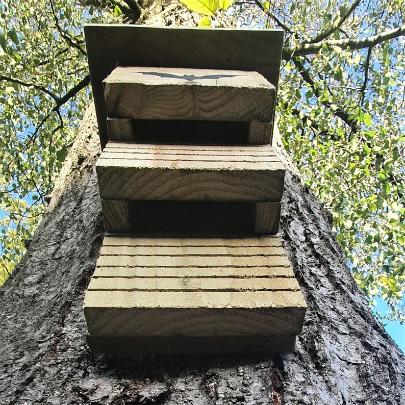 Bat Box Conservation Nesting Box for UK Bats medium - Etsy