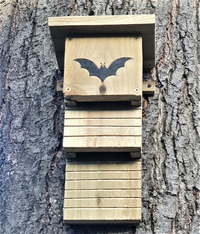 Bat Box Conservation Nesting Box for UK Bats medium - Etsy