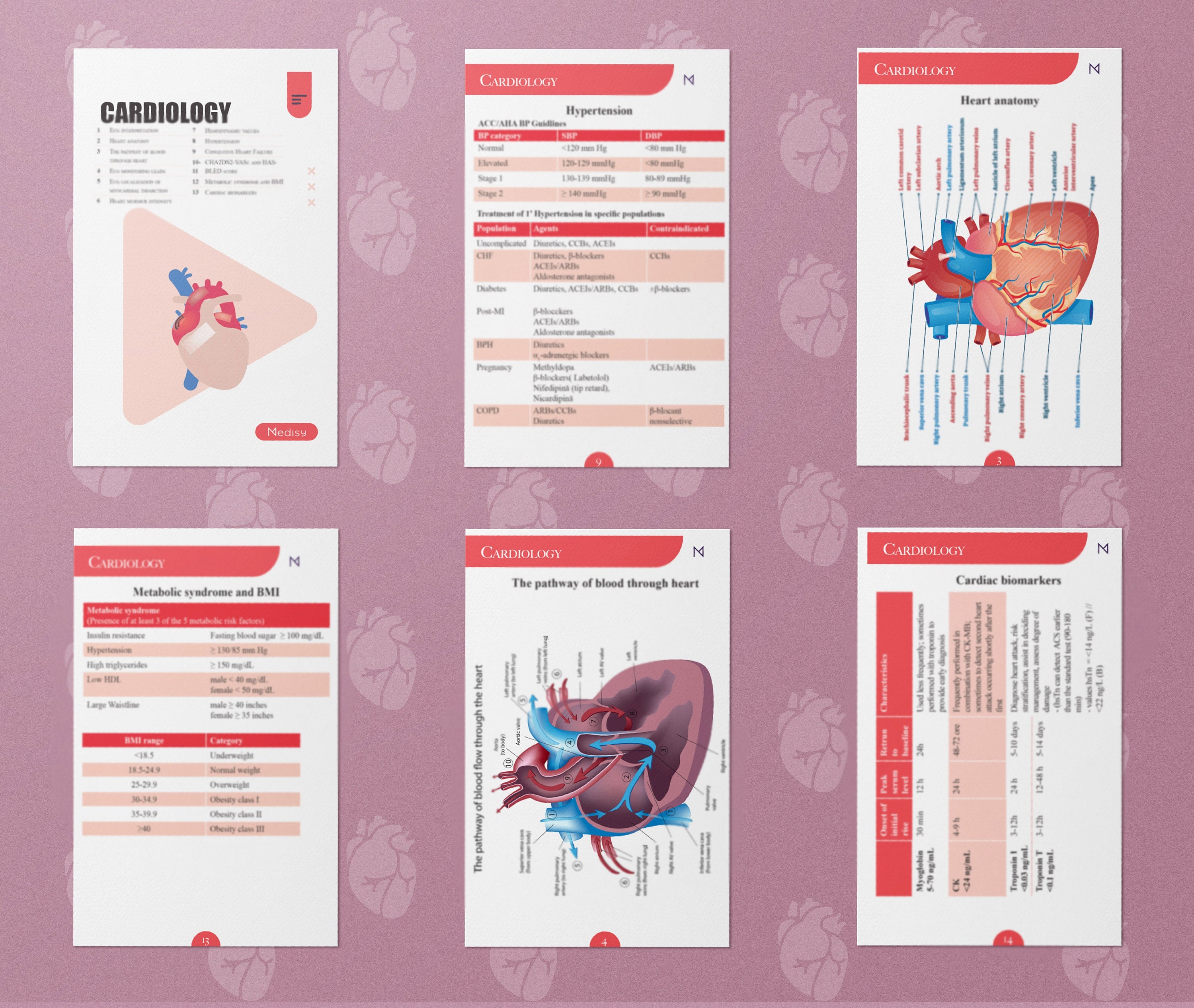 PDF Cardiology Flashcards (pocket Size) - Etsy
