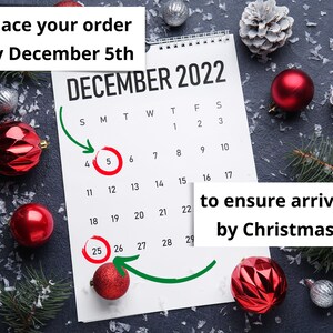 S/S DOCTOR LYKES Ship Rendering Print Lykes Brothers - Etsy