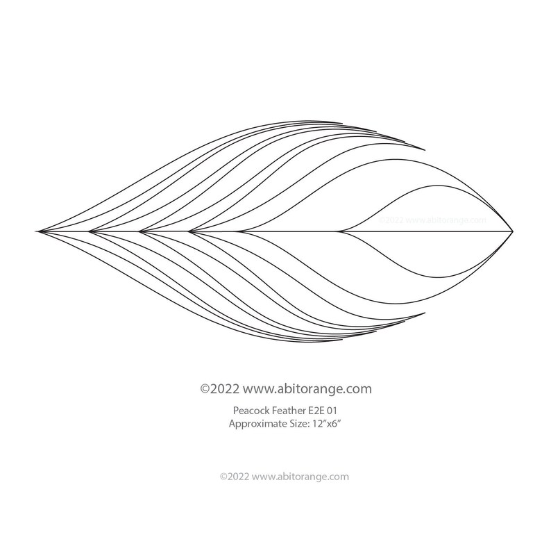 Peacock Feather E2E 01- E2E Digital Quilting Pattern for Longarm Machine Quilting, E2E Feathers ...