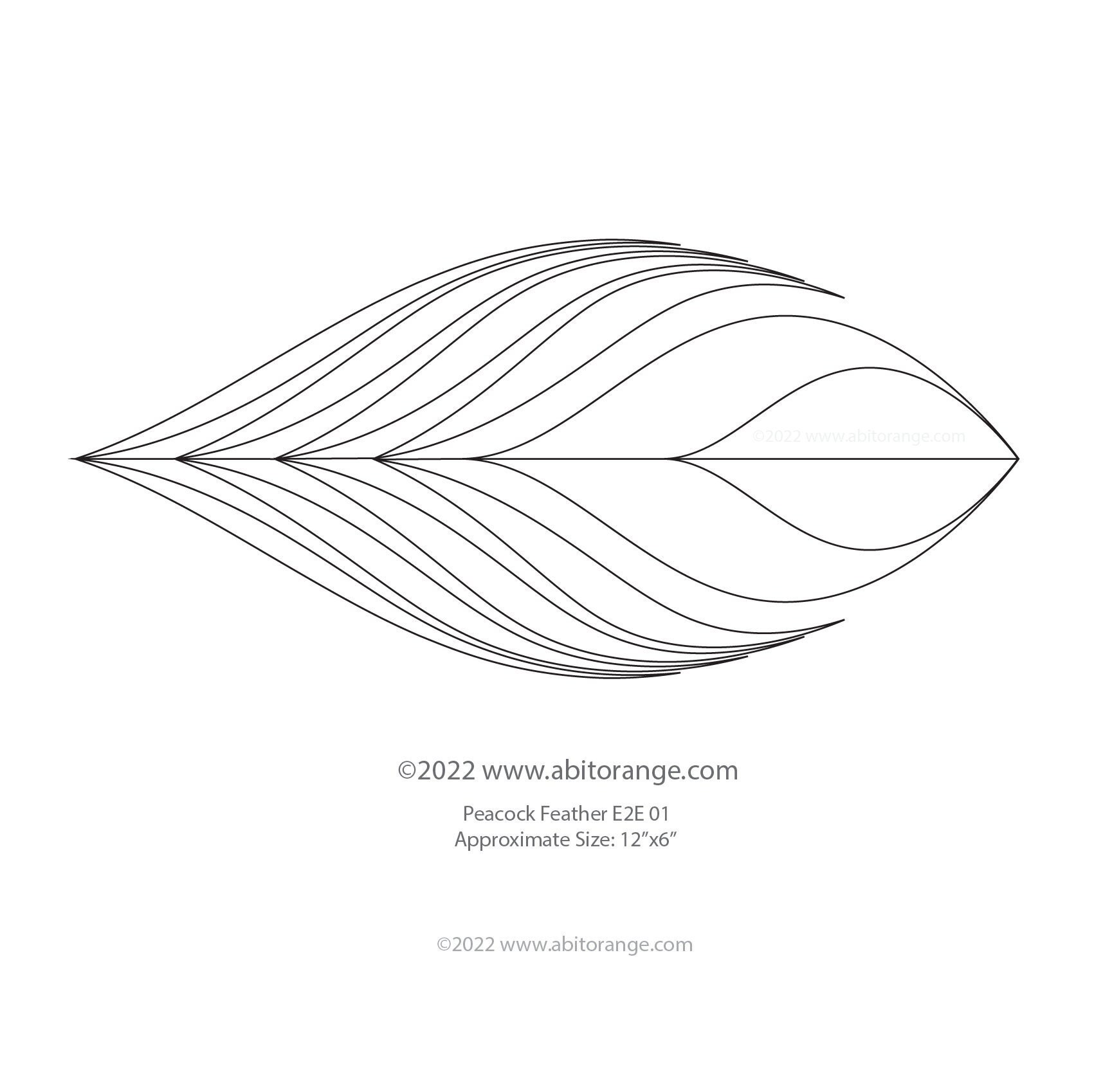 Peacock Feather E2E 01- E2E Digital Quilting Pattern for Longarm Machine Quilting, E2E Feathers ...