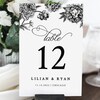 Boho Greenery Table Number Template,greenery Eucalyptus, Leaf Leaves ...