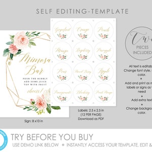 Floral MIMOSA BAR SIGN Template | Mimosa Juice Labels | Mimosa Bar Sign ...