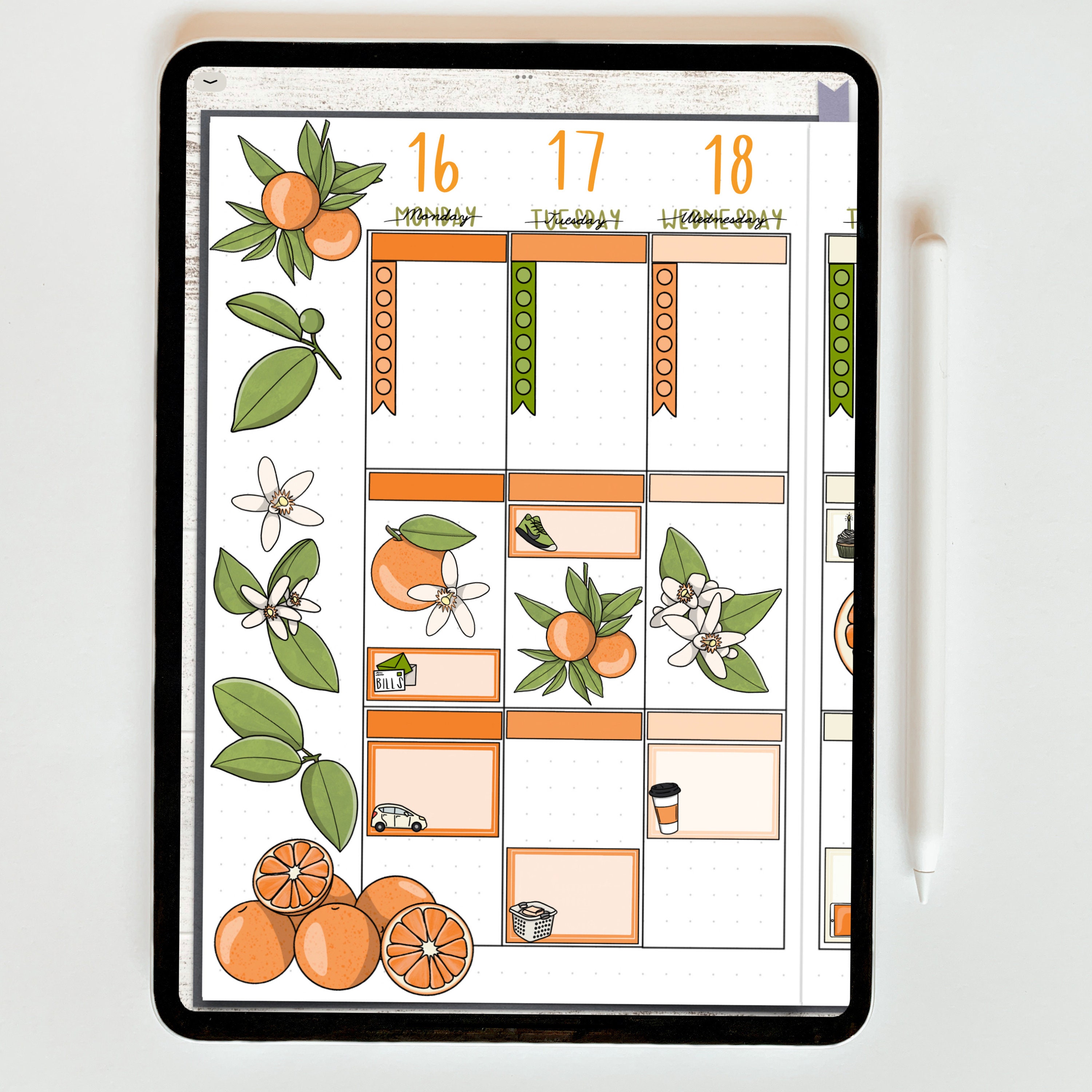 Oranges Hand Drawn Digital Bullet Journal Stickers, Summer Citrus ...