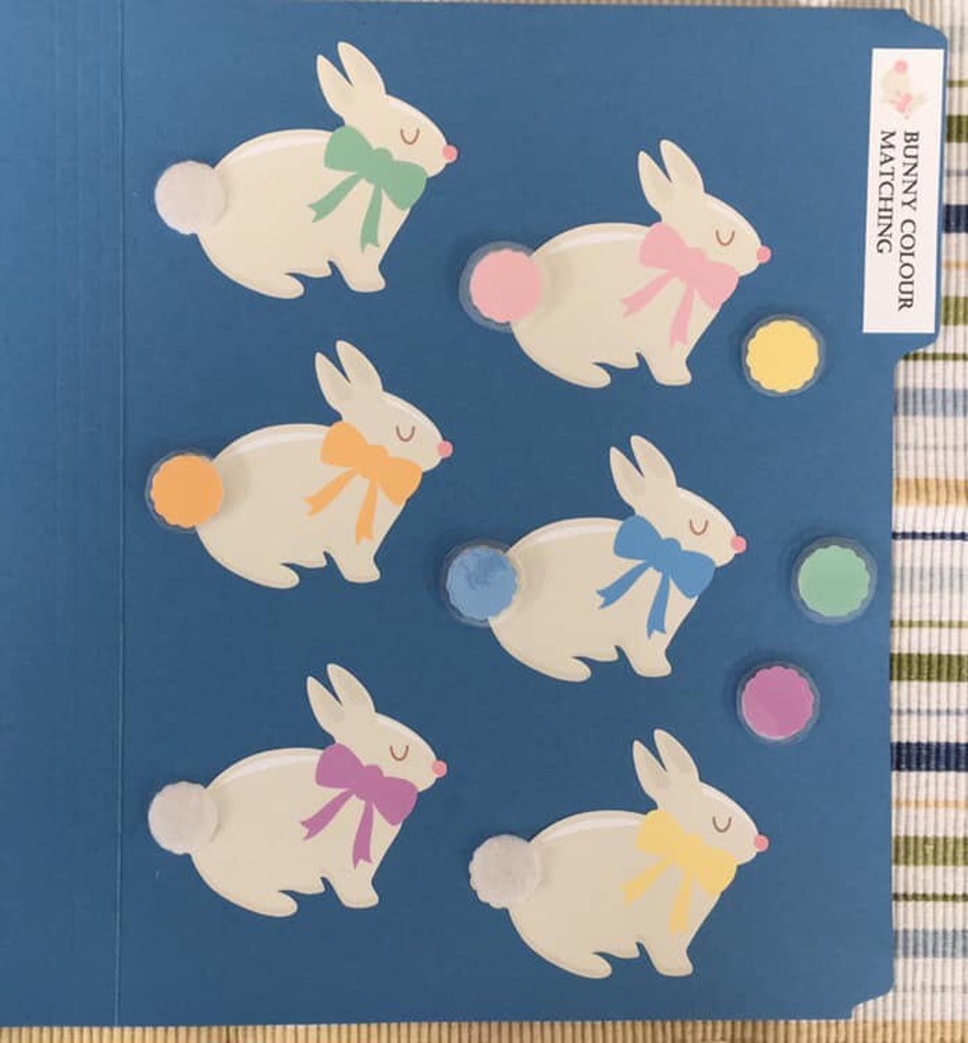 Bunny Colour Matching Folder - Etsy