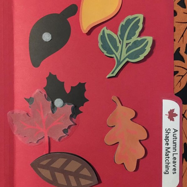 Autumn Leaf Shape Matching Folder - Etsy