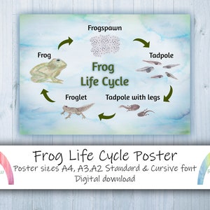 Frog Life Cycle Poster - DIGITAL DOWNLOAD - Etsy