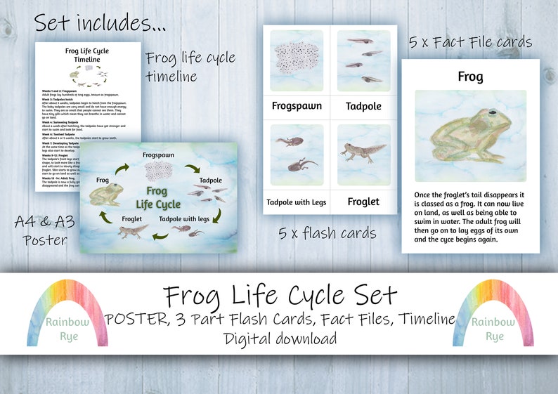 Frog Life Cycle Set - Flash Cards - Fact File - Poster - Timeline ...