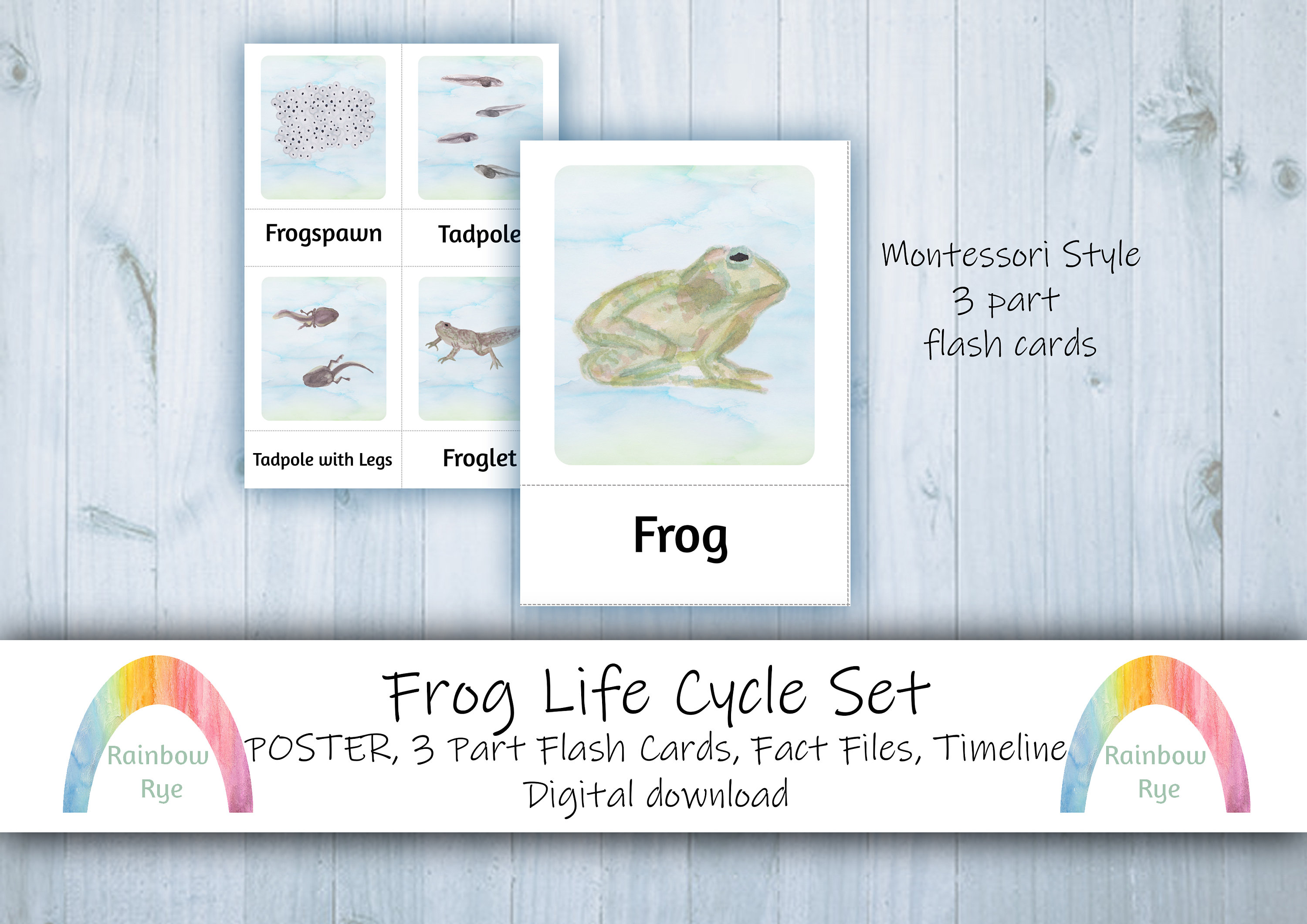 Frog Life Cycle Set - Flash Cards - Fact File - Poster - Timeline ...
