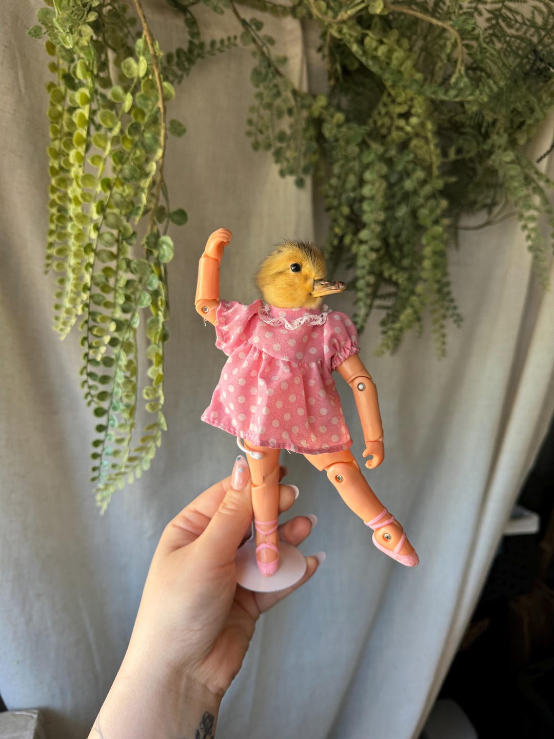 Duckling Taxidermy Doll - Etsy