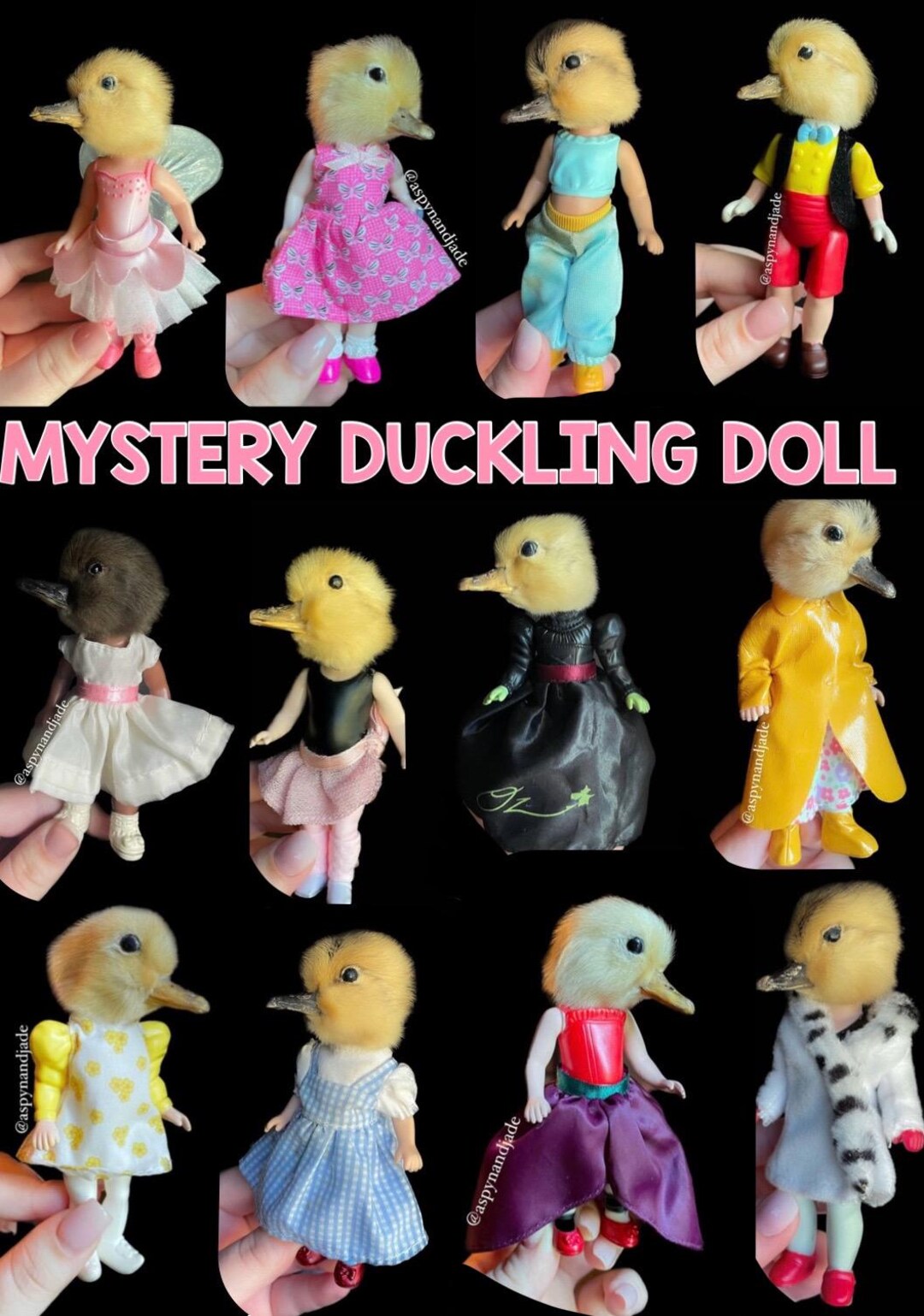 MYSTERY Duckling Taxidermy Doll - Etsy