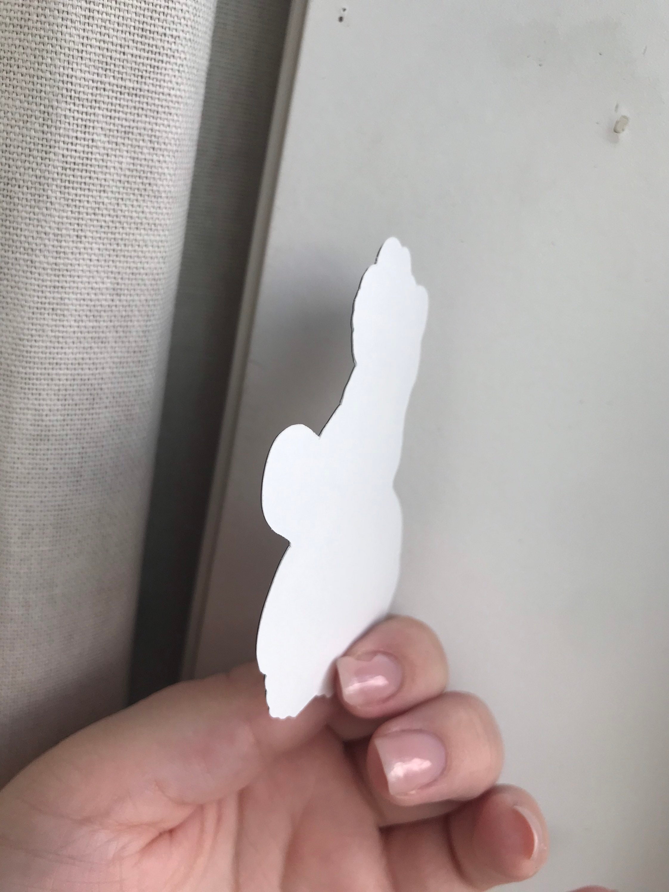 STICKER Praying Raccoon Sticker Oddity Sticker Raccoon - Etsy